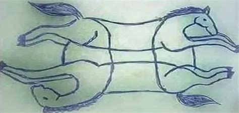 Quiz Quanti Cavalli Riesci A Vedere Nel Disegno Veb It
