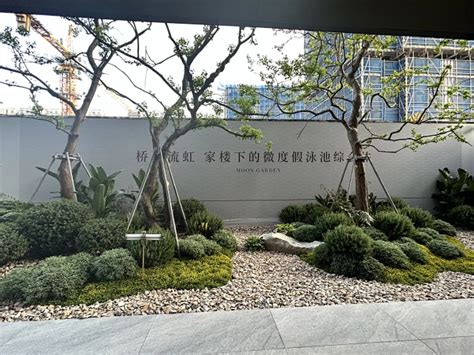 乌桕砾石林 芙蓉菊 迷迭香 天堂鸟 花叶玉簪 金莎蔓 龟甲冬青素色银灰 花瓣网