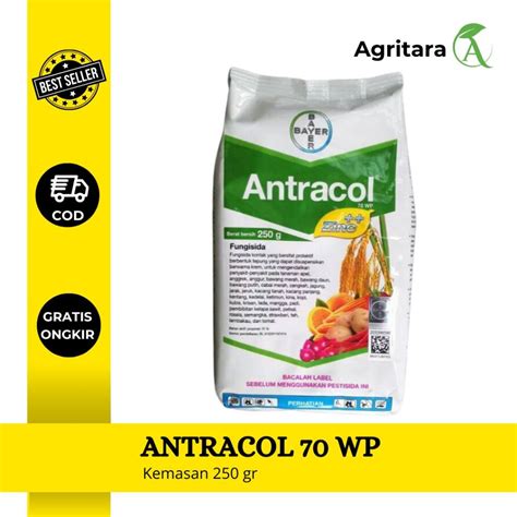 Jual FUNGISIDA ANTRACOL 70 WP 250 Gr Shopee Indonesia