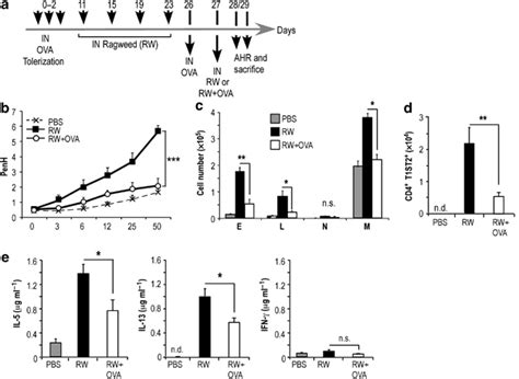 Airway Hyperresponsiveness Ahr Airway Inflammation And Cytokine
