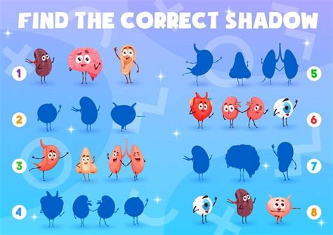 Premium Vector Find Correct Shadow Cartoon Human Organ Characters