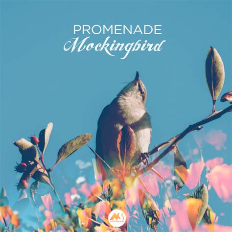 Mockingbird Single By Promenade Spotify
