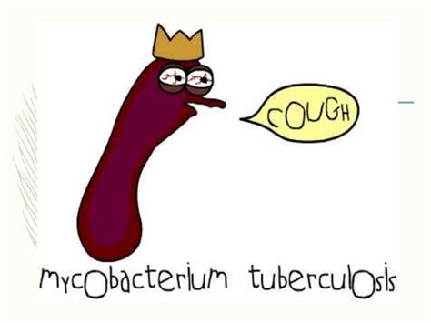 Tuberculosis Ppt Ppt