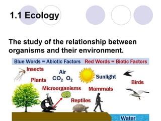 Ecosystem PPT