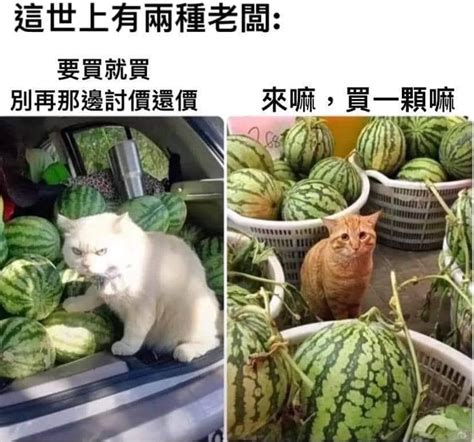 轉發 兩種老闆 梗圖板 Dcard