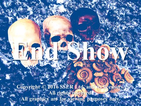 Bio3 2 Human Evolution Fossil Evidence 1 Teaching Resources