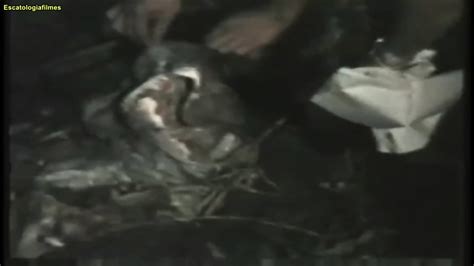 Arquivos Da Morte Atrocidades 1 Eporner