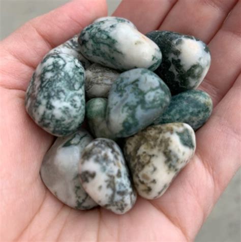 Tree Agate