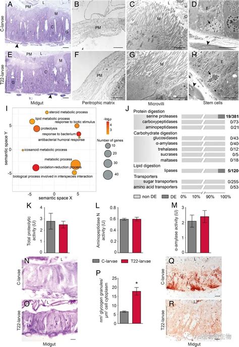 PNAS 研究揭示土壤真菌通过破坏微生物群落共生作用赋予植物抗性的机制 知乎