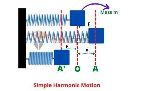 What Is Oscillatory Motion Definition Examples