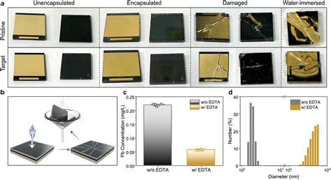 Lead Leakage Tests Under Simulative Hail Damage Experiments A