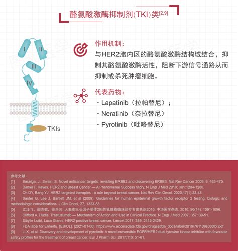 乳腺癌her2靶向治疗医学界 助力医生临床决策和职业成长