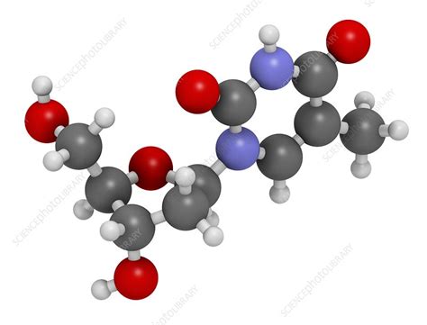 Thymidine Nucleoside Molecule Stock Image F010 6833 Science Photo Library