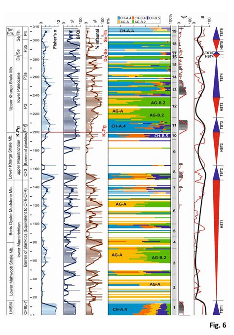 Relationship Between Benthic Foraminiferal Morphogroups And