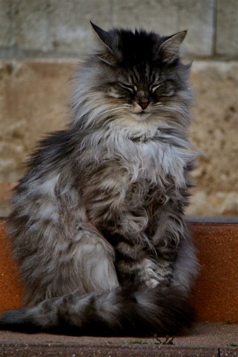 Une Histoire Dormir Debout Fanny Bouchez Flickr