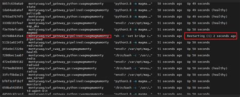 Pipelined Container Taking Restart While Deploy Cwag · Magma Magma