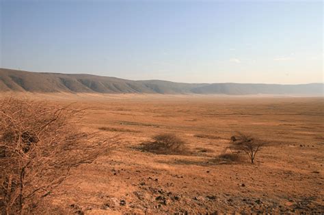 Ngorongoro 분화구 풍경 탄자니아입니다 0명에 대한 스톡 사진 및 기타 이미지 0명 21세기 Unesco 조직된