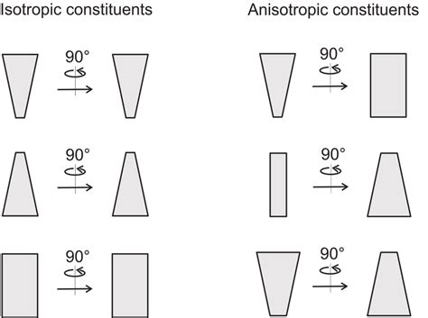 Schematic Representation Of Different Isotropic C 1m C 2m And