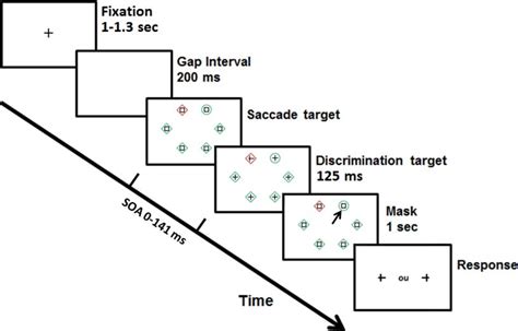sequence of events in experiment 2 participants were told to move