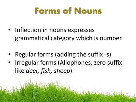 English Morphology Inflection Pptx