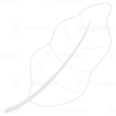 Line Art Leaf Png 23225234 Png