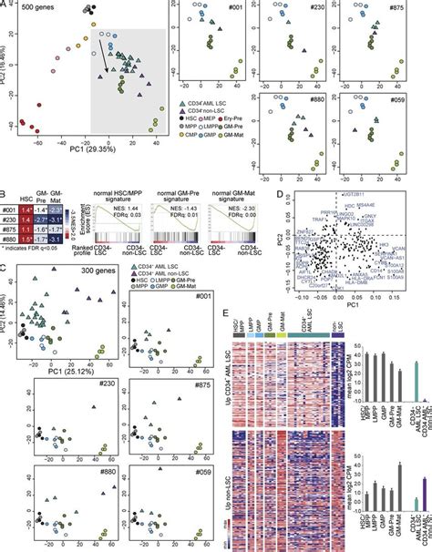 CD Non LSC Populations Are More Differentiated Compared With LSC Download Scientific Diagram