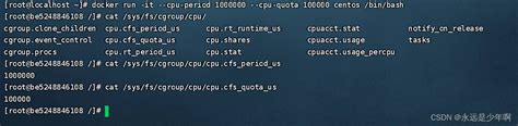 docker详解（十）——docker容器cpu资源限额配置 docker cpu限制 csdn博客