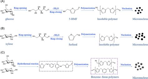 The Nucleation Process Of Glucose A Xylose B And Glucose−xylose