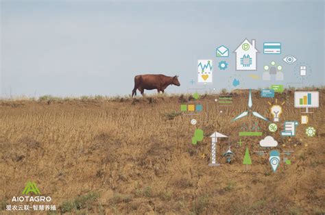 智慧养殖AI养殖模型与智能化养殖设备的应用AIOTAGRO 爱农云联 致力于高效安全的食品生产