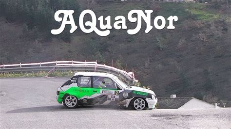 Rally Cangas Del Narcea Youtube