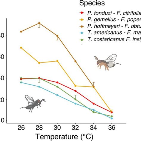 The Median Lifespan Of Pollinator Fig Wasps Decreased With Increasing