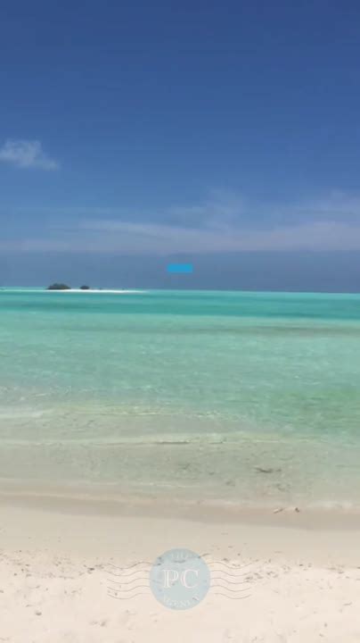 Rosie Jane Burrill On Linkedin Come Work With Us At The Pc Agency