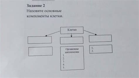 назовите основные компоненты клетки Школьные Знания