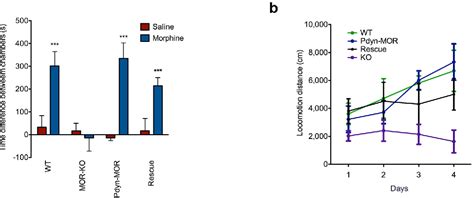 Figure From Targeted Expression Of Mu Opioid Receptors In A Subset Of Striatal Direct Pathway