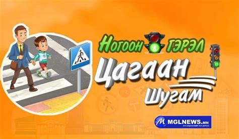 ”НОГООН ГЭРЭЛ ЦАГААН ШУГАМ 2024” НЭГДСЭН АРГА ХЭМЖЭЭ ЗОХИОН БАЙГУУЛЖ БАЙНА