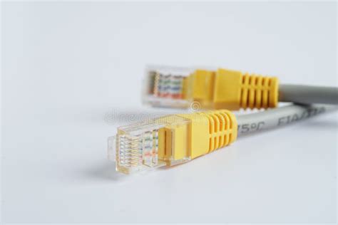 Lan Cable Internet Connection Network Rj45 Connector Ethernet Cable Stock Image Image Of