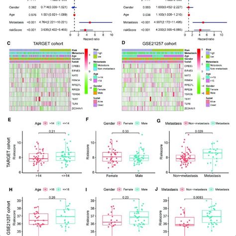 Clinical Correlation Analyses Ab Univariate And Multivariate Cox
