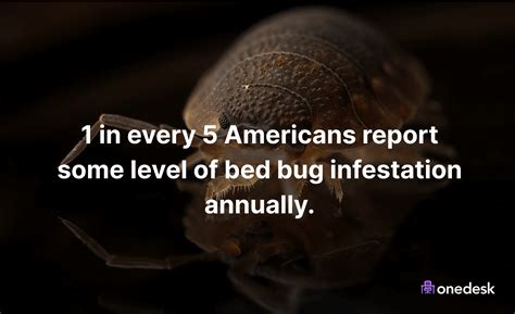 How Common Are Bed Bugs 51 Bed Bug Statistics