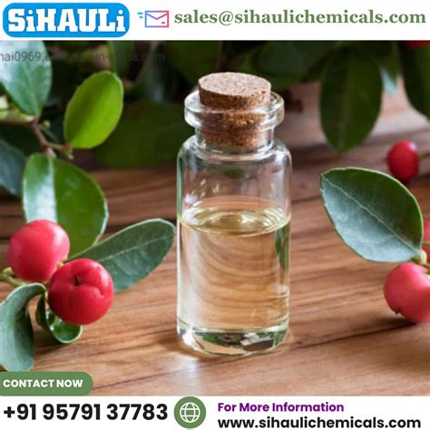 Methyl Salicylate Api 119 36 8 C8h8o3 99 Latest Price Manufacturers