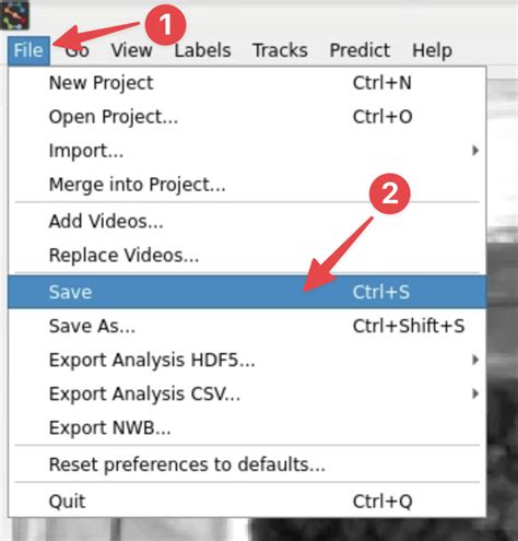 3 Initial Labeling SLEAP Tutorial At Cosyne 2024