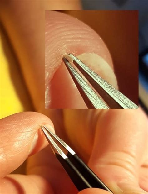 The Most Precise Tweezers On Earth Well Rigged
