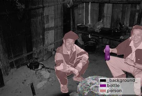 Instance Segmentation Example Labelme