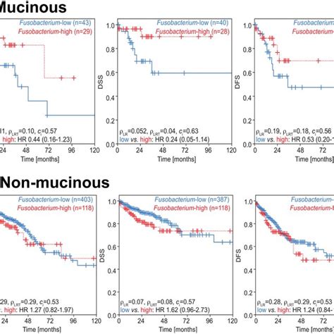 Kaplan Meier Curves Depicting Survival Differences Between Patients