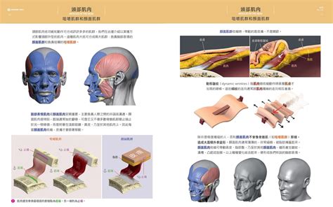 藝用3d人體╳表情解剖書