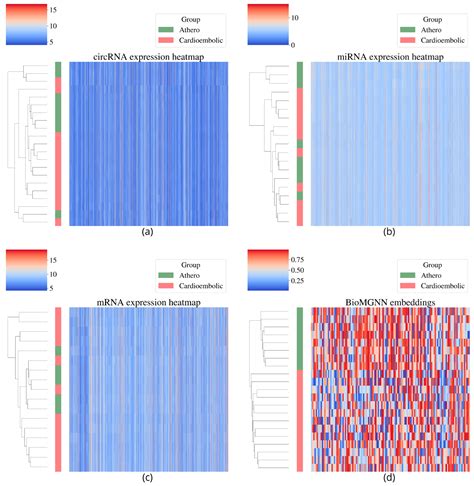 Integrative Multi Omics Analysis For Etiology Classification And Biomarker Discovery In Stroke