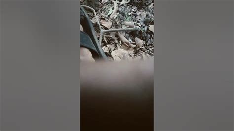 बीएफ फल्म लोड करें बीएफ फिल्म Youtube