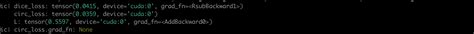 No Grad Fn Attribute For Custom Loss Term Autograd Pytorch Forums