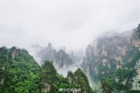 下着濛濛细雨，湖南张家界国家地质森林公园，像是仙境一般财经头条