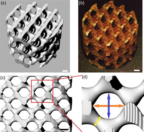 A Cad Model And B Picture Of Sla Manufactured Pcl Structure Of