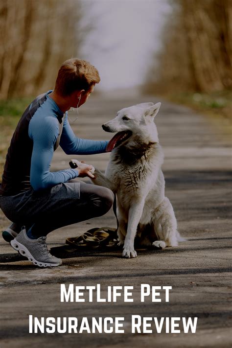Metlife Pet Insurance Review For 2021 Lendedu Pet Insurance Reviews